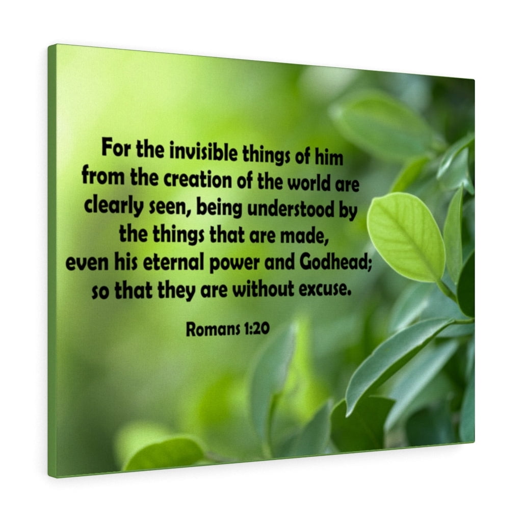 Scripture Walls For The Invisible Things Romans 1:20 Green Bible Verse ...