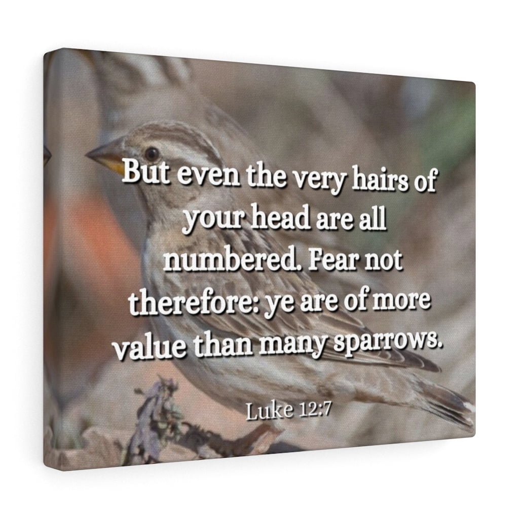 Scripture Walls Forgotten Luke 12:7 Bible Verse Canvas Christian Wall ...