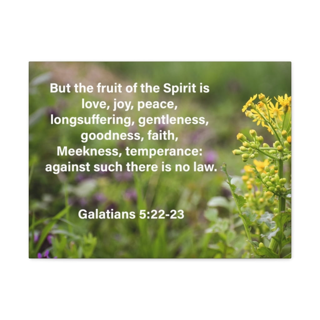 Scripture Walls Gentleness Goodness Faith Galatians 5:22-23 Bible Verse ...