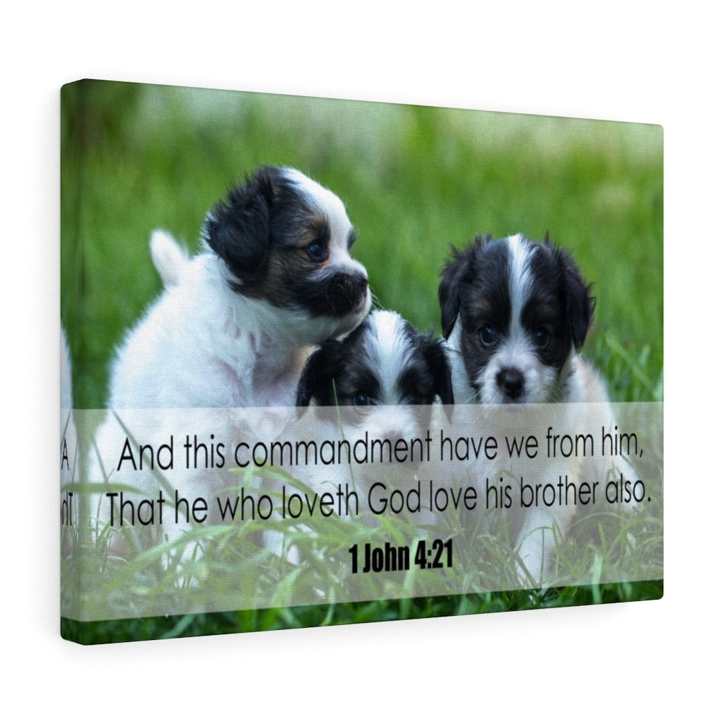 Scripture Walls God Love His Brother 1 John 4:21 Christian Home Decor ...