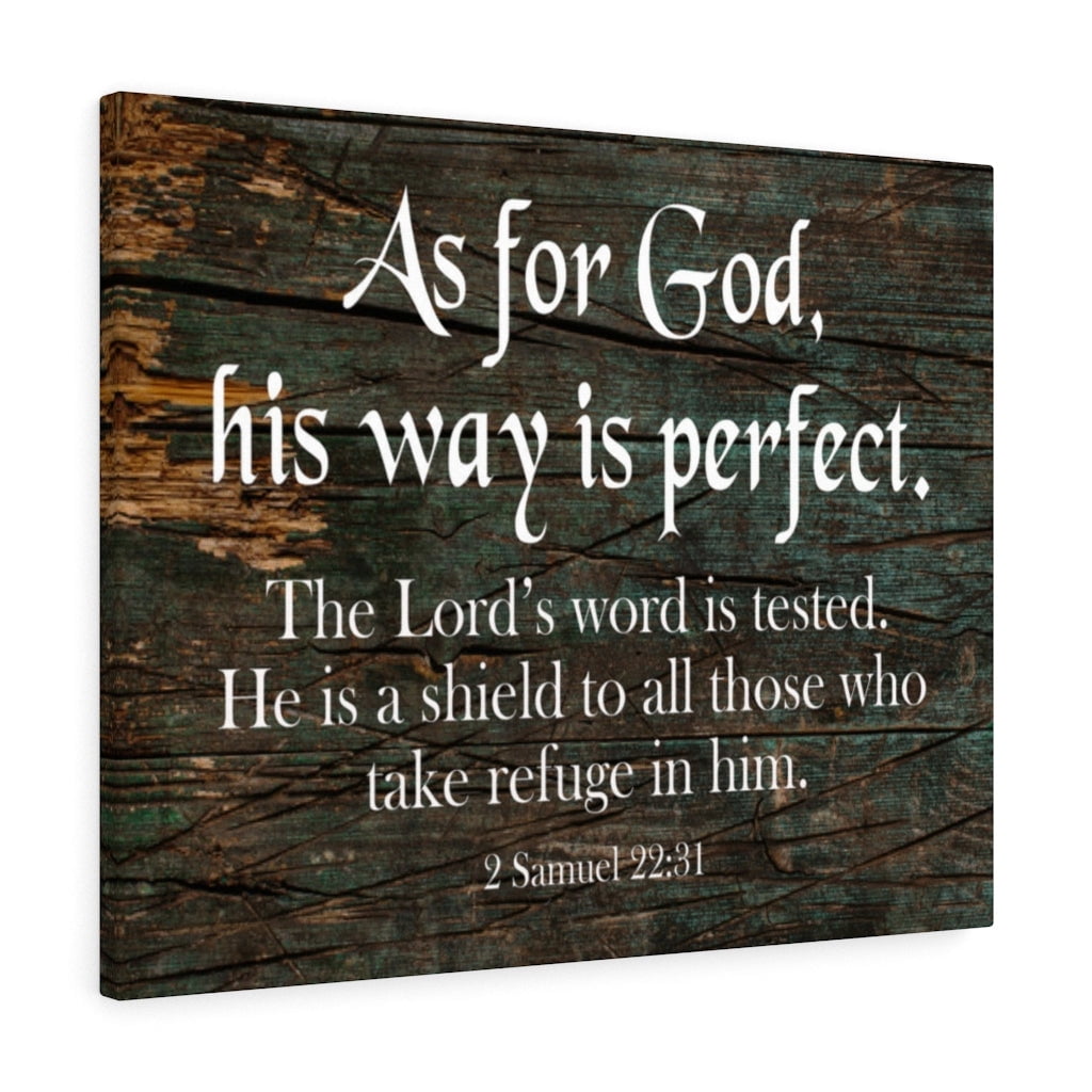 Scripture Walls His Way is Perfect 2 Samuel 22:31 Scripture Bible Verse ...