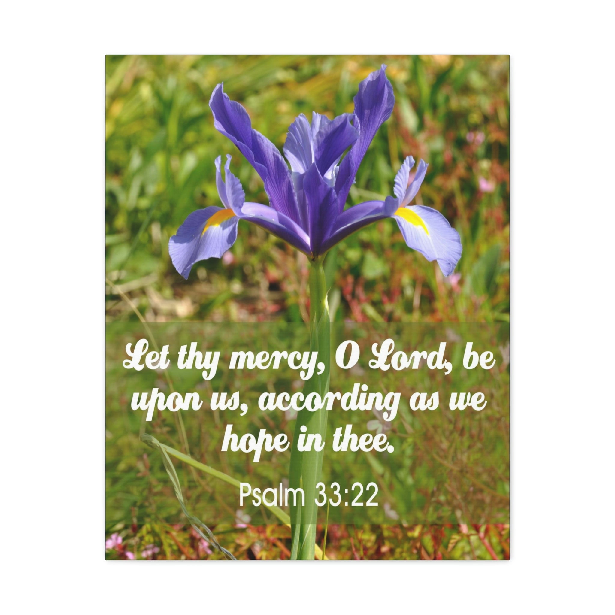 Scripture Walls Psalm 33:22 Hope In Thee Bible Verse Canvas Christian ...
