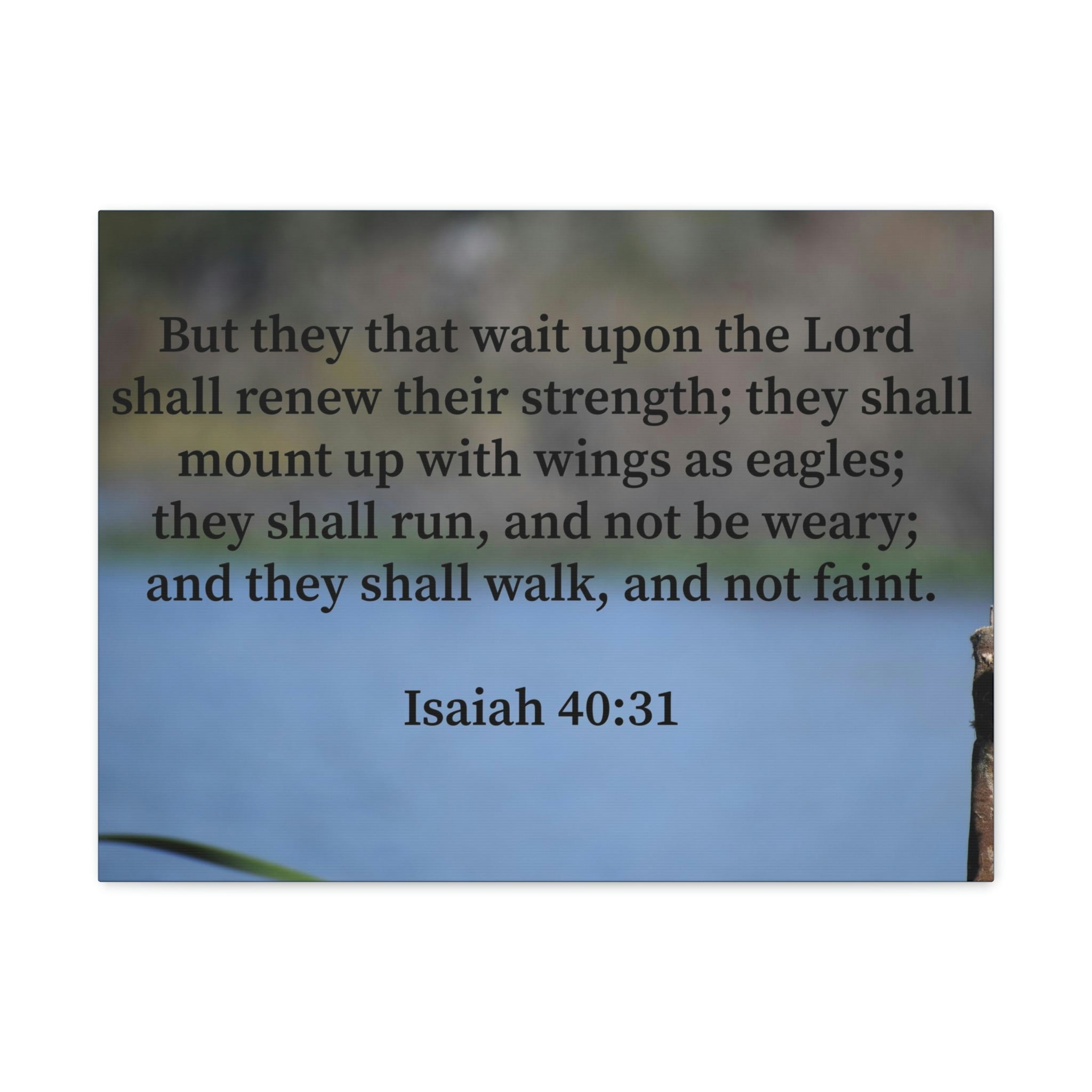 Scripture Walls Isaiah 40:31 Renew Their Strength Christian Wall Art ...