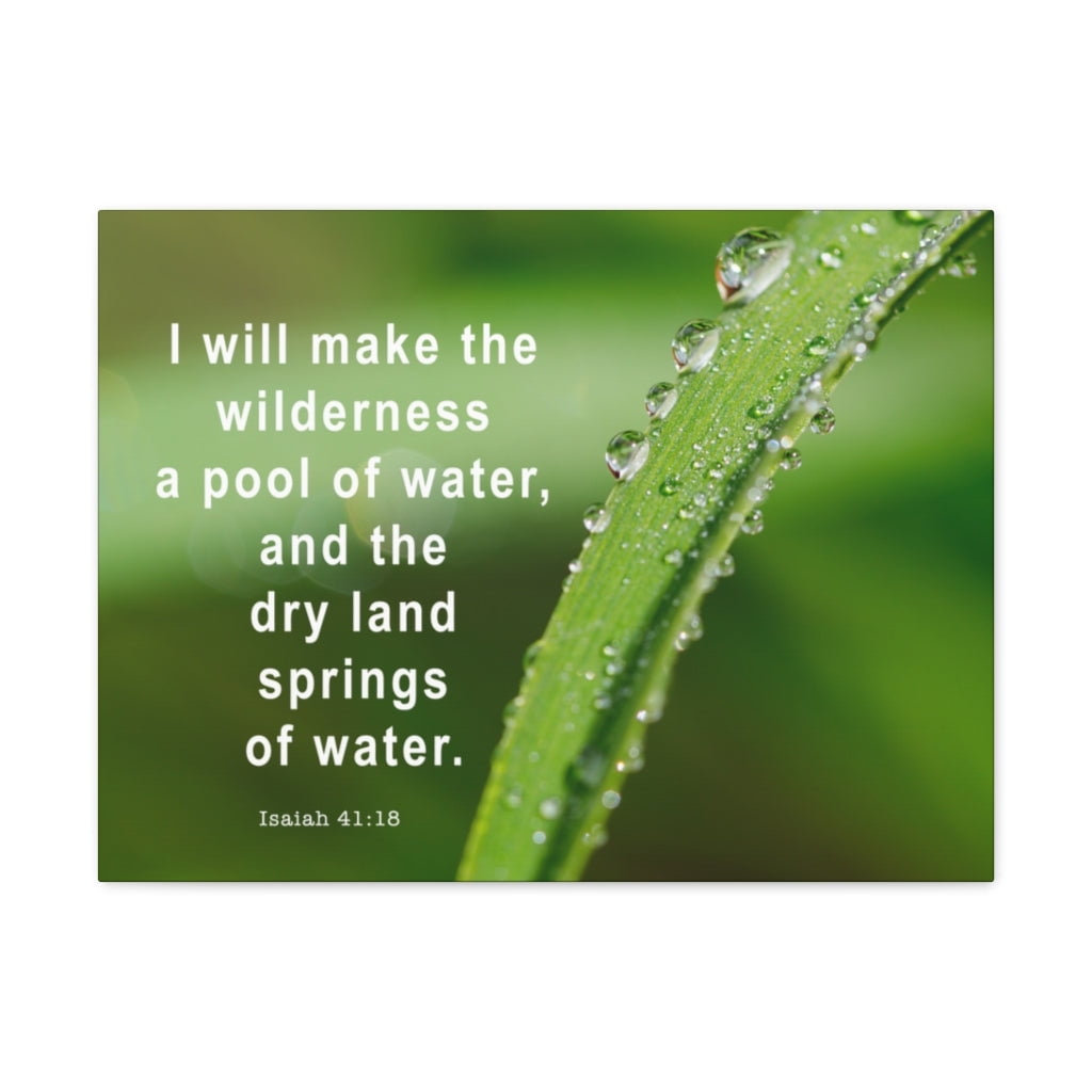 Scripture Walls Isaiah 41:18 Springs Of Water Bible Verse Canvas ...