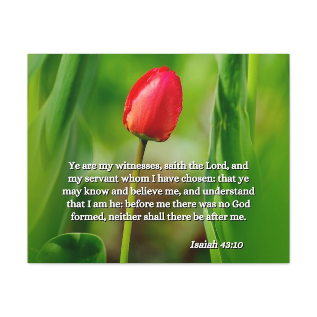 Scripture Walls Isaiah 43:10 I Have Chosen Bible Verse Canvas Christian Wall Art Ready to Hang ...