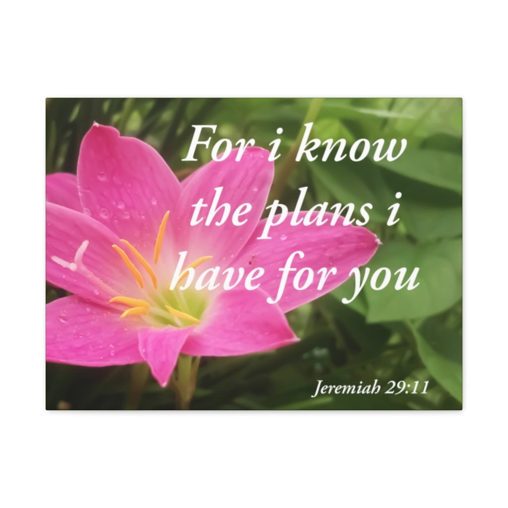 Scripture Walls Jeremiah 29:11 Plans I Have Bible Verse Canvas ...