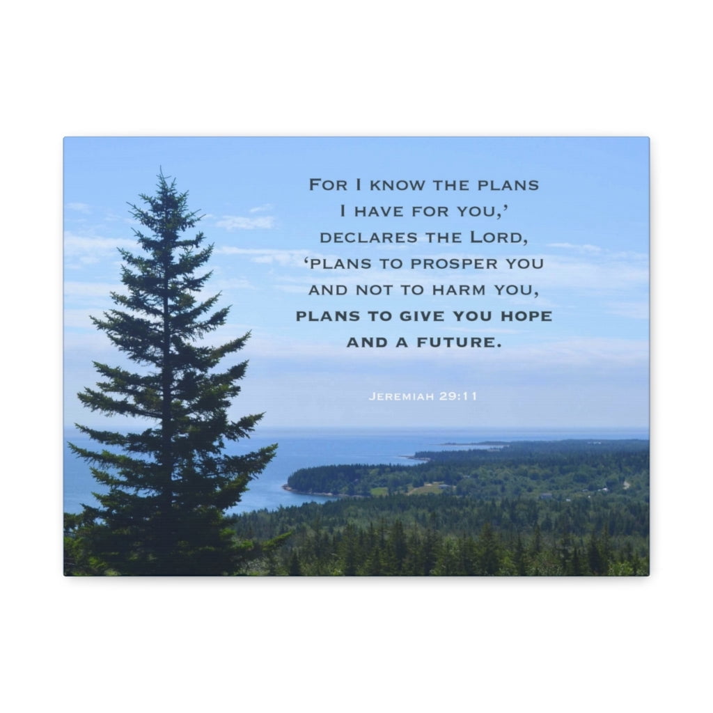 Scripture Walls Jeremiah 29:11 Plans To Prosper You Bible Verse Canvas ...