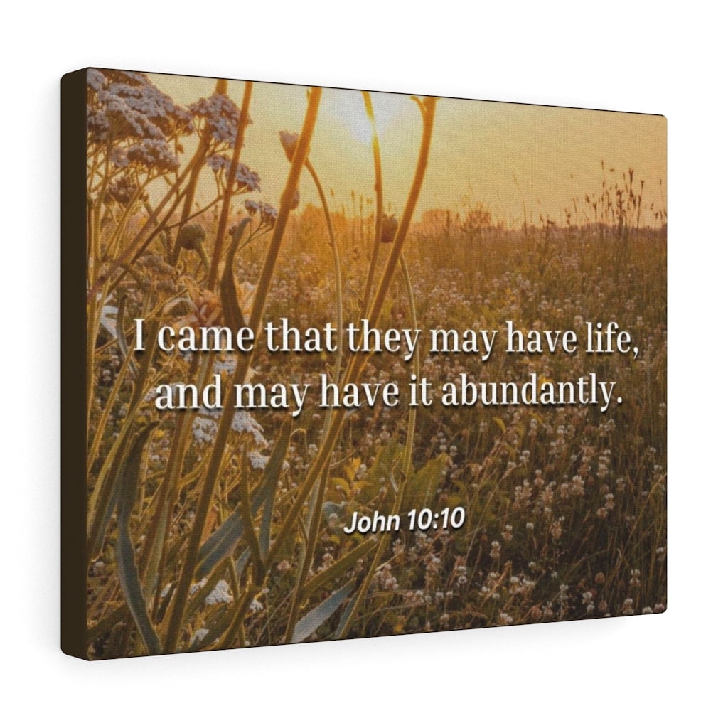 Scripture Walls John 10:10 Abundantly Bible Verse Canvas Christian Wall ...