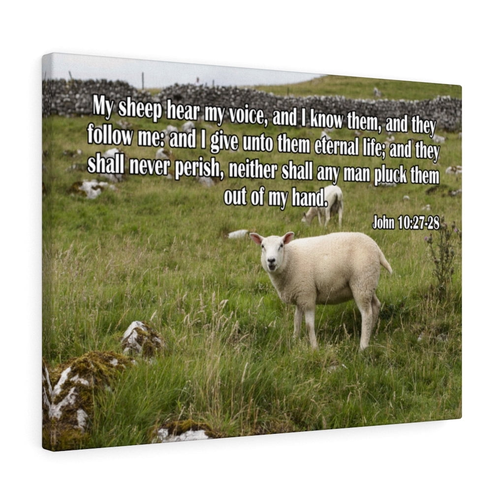 Scripture Walls John 10:27-28 Hear My Voice Bible Verse Canvas ...