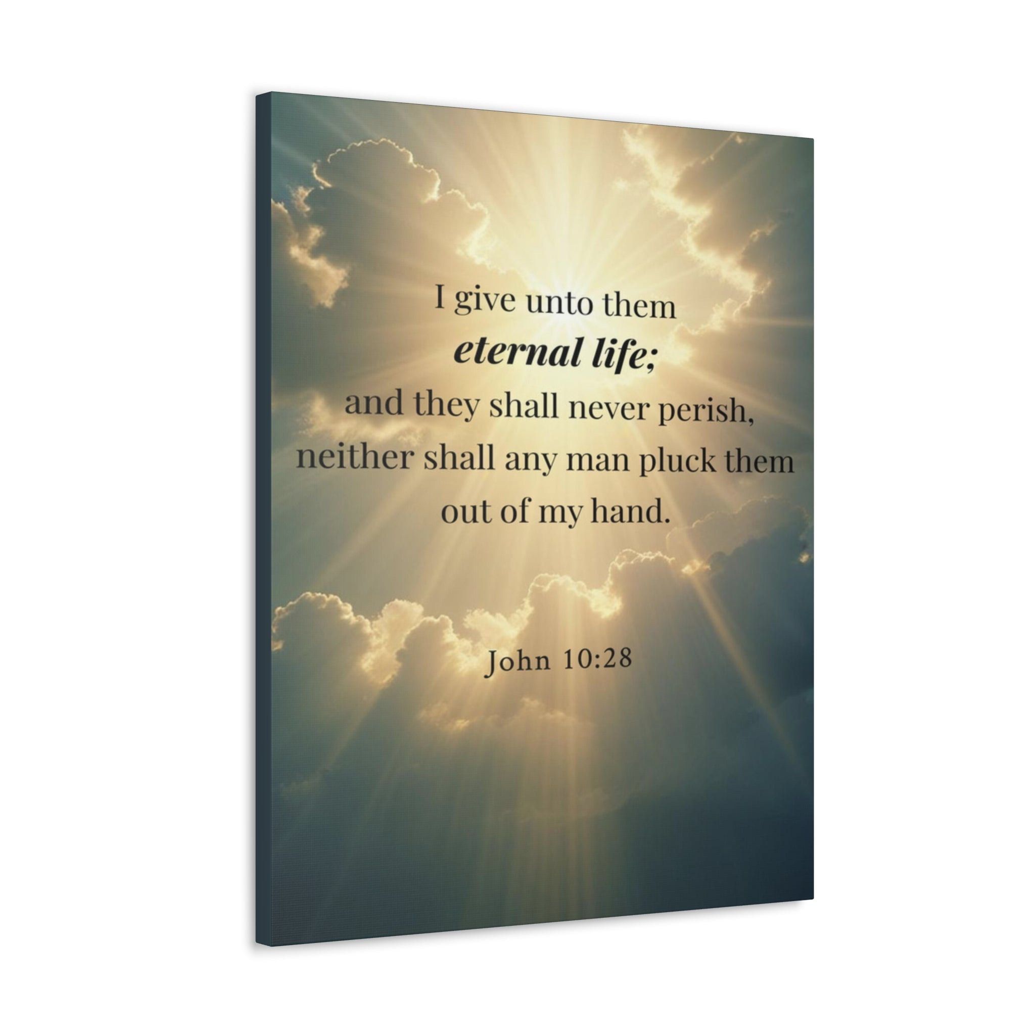 Scripture Walls John 10:28 Eternal Assurance Bible Verse Canvas ...