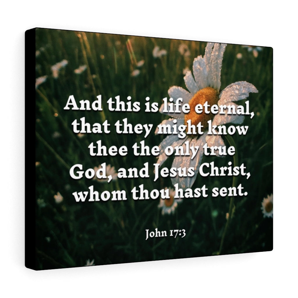 Scripture Walls John 17:3 Life Eternal Bible Verse Canvas Christian Wall Art Ready to Hang ...