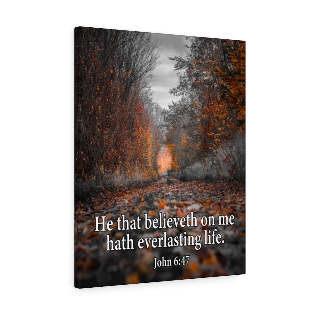 Scripture Walls John 6:47 Everlasting Life Bible Verse Canvas Christian ...