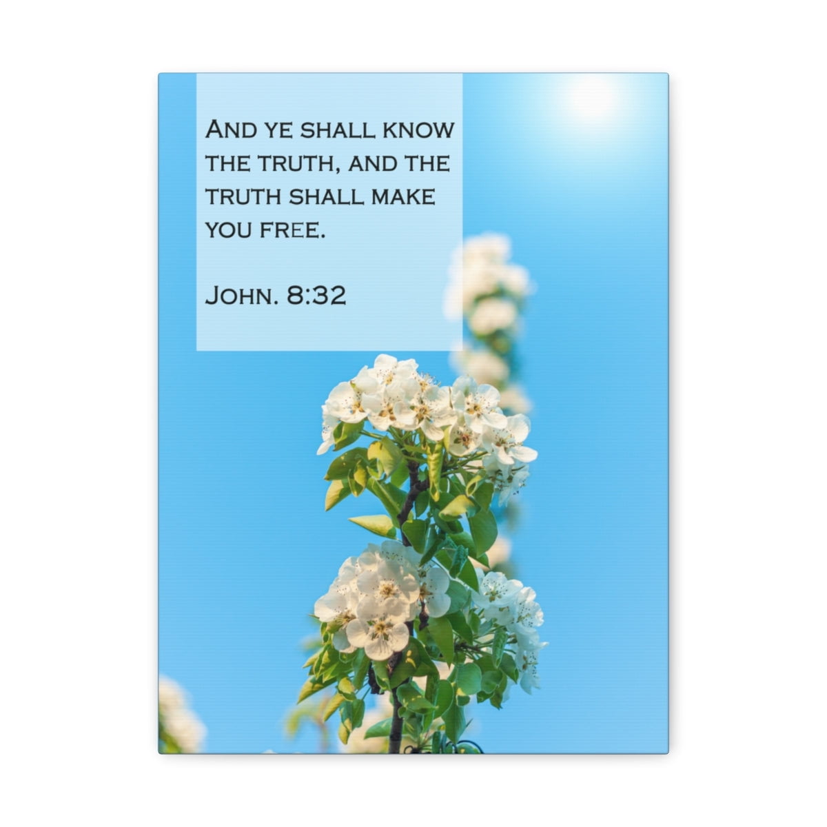 Scripture Walls John 8:32 The Truth Shall Make You Free Bible Verse ...