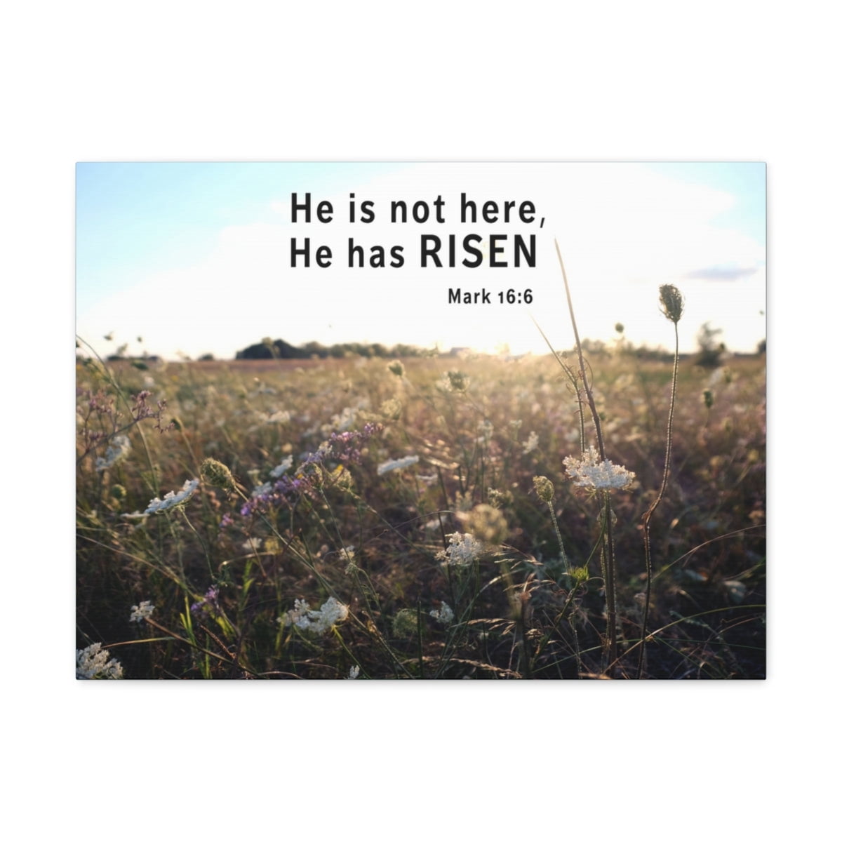 Scripture Walls Mark 16:6 He Has Risen Bible Verse Canvas Christian ...