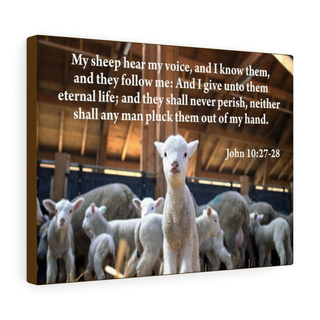 Scripture Walls My Sheep Hear My Voice John 10:27-28 Bible Verse Canvas ...