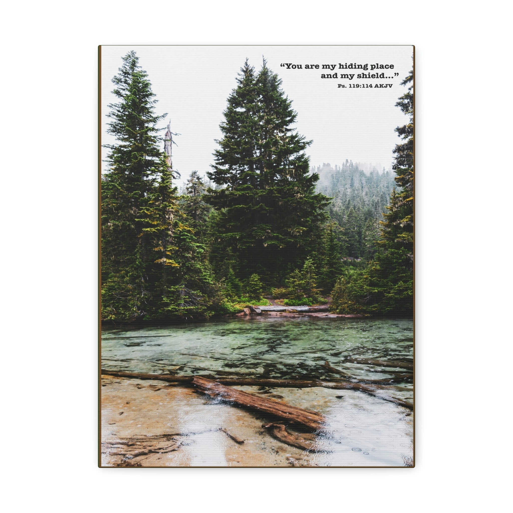 Scripture Walls Psalms 119:114 My Shield Bible Verse Canvas Christian Wall Art Ready to Hang ...