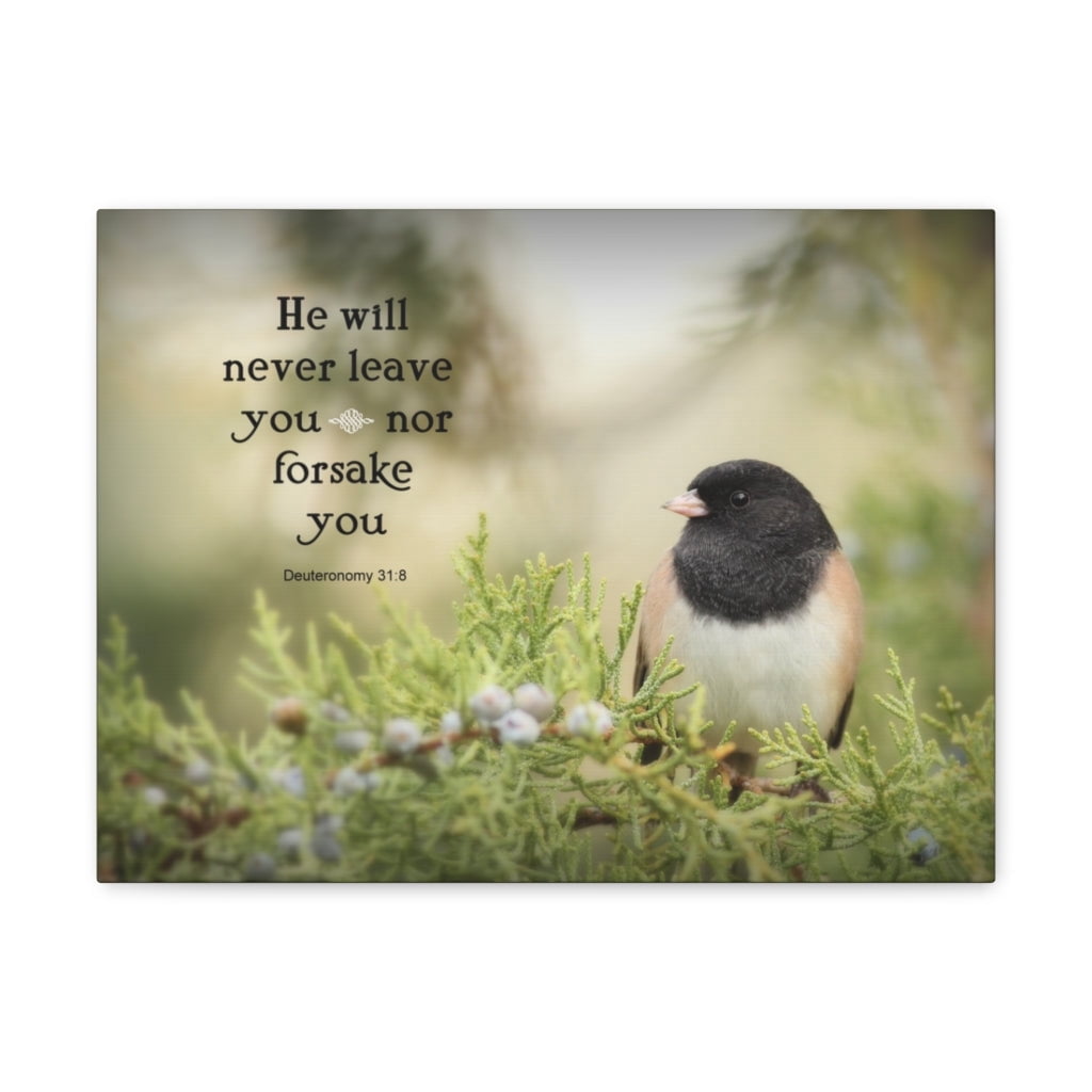 Scripture Walls Never Forsake Deuteronomy 31:8 Bible Verse Canvas ...