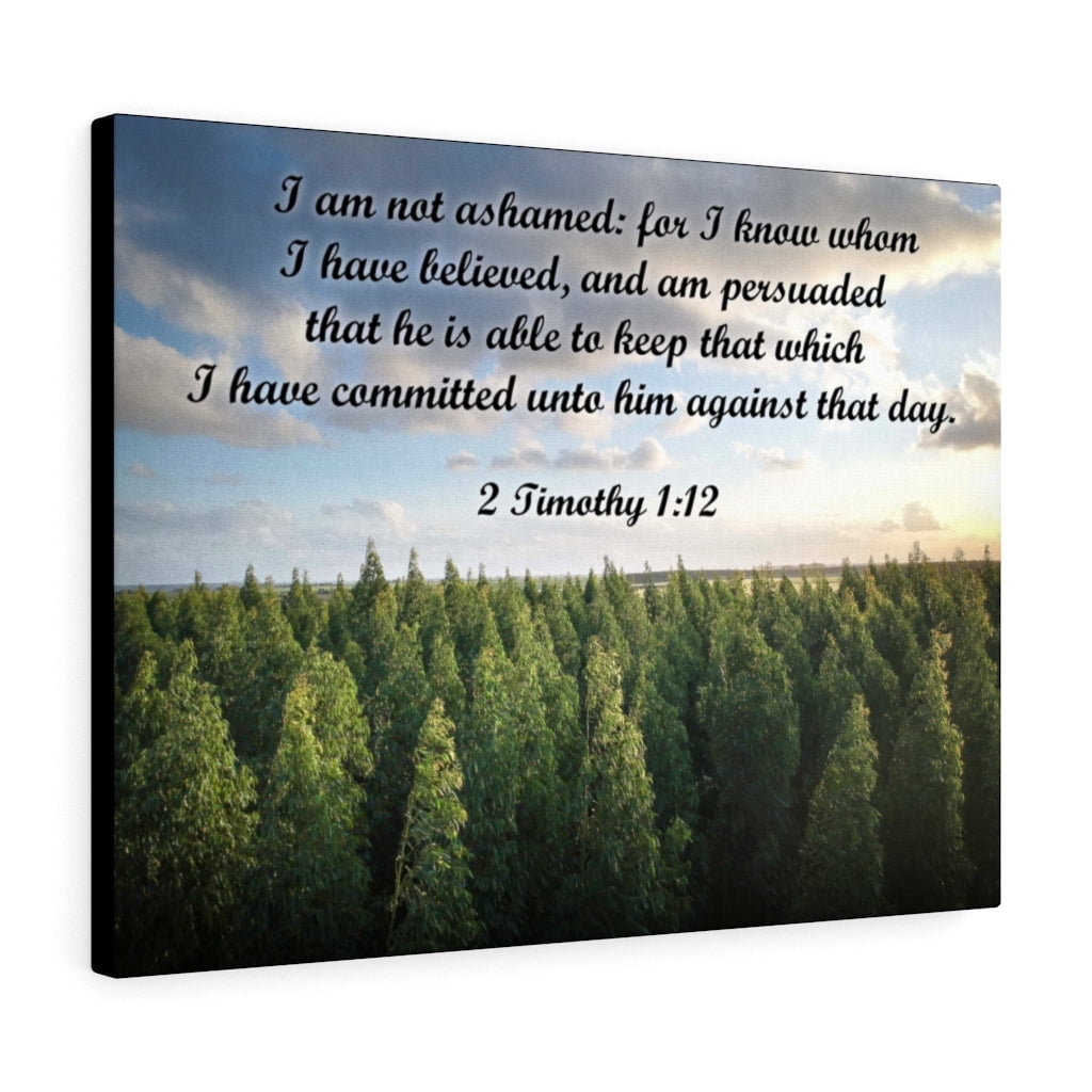 Scripture Walls Not Ashamed 2 Timothy 1:12 Bible Verse Canvas Christian ...