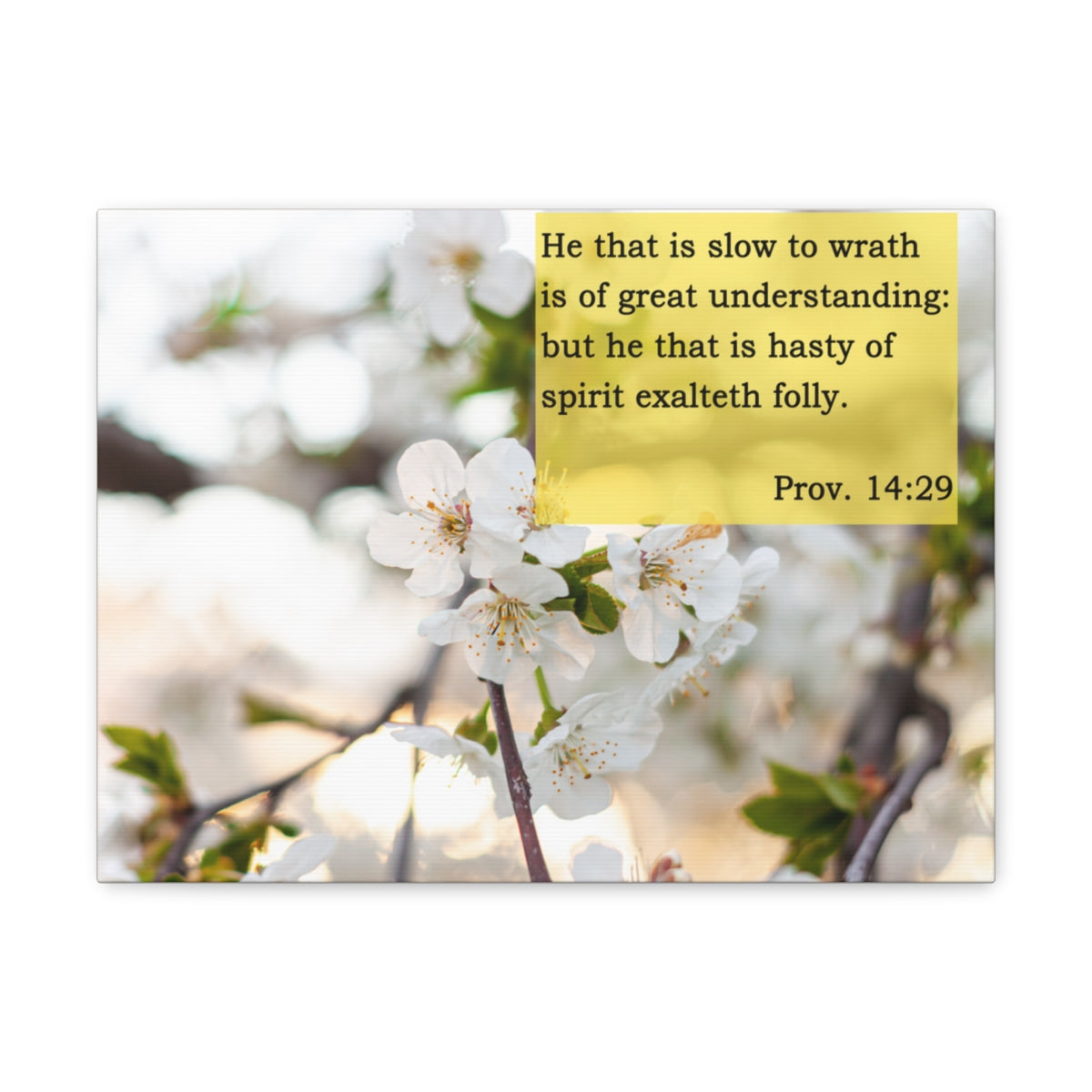 Scripture Walls Proverbs 14:29 Great Understanding Bible Verse Canvas ...
