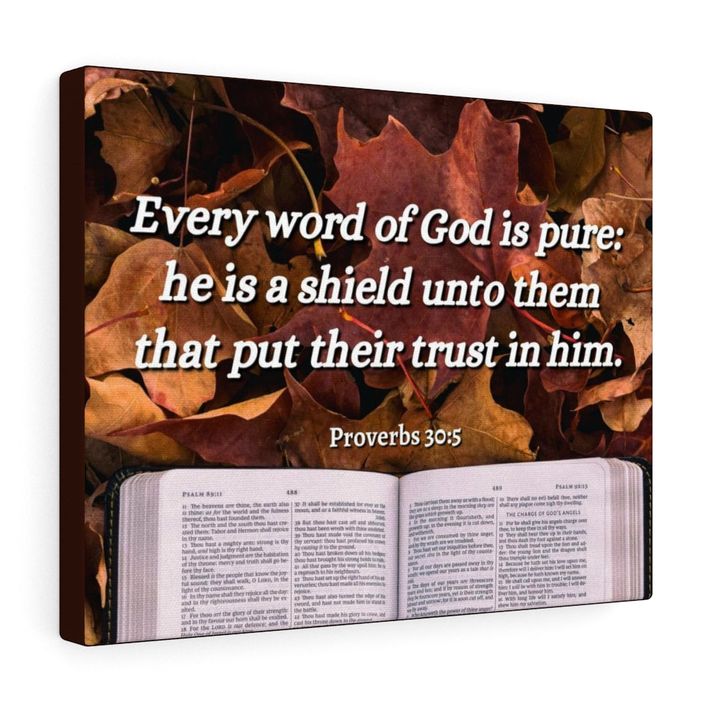 Scripture Walls Proverbs 30:5 A Shield Bible Verse Canvas Christian Wall Art Ready to Hang ...
