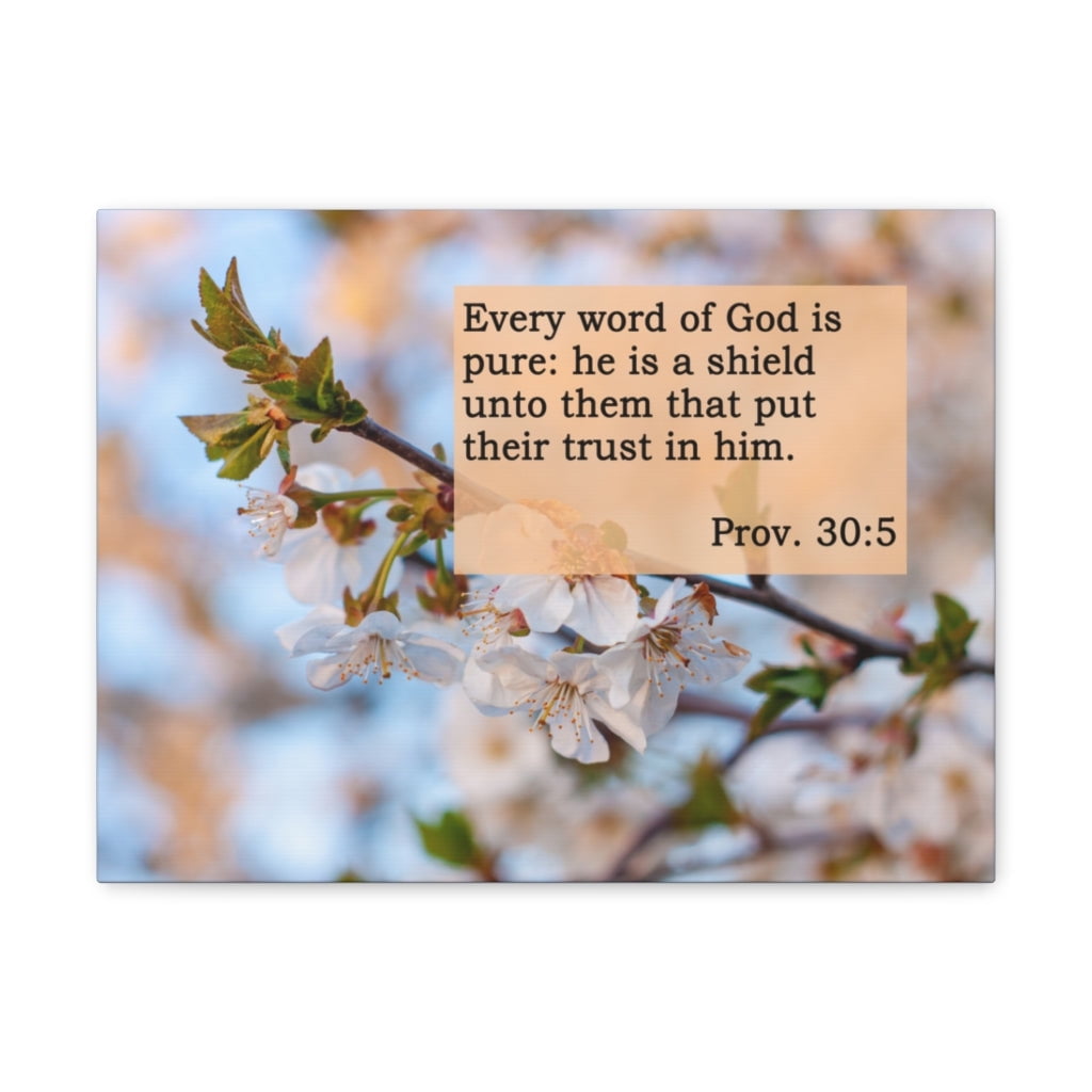 Scripture Walls Proverbs 30:5 Word Of God Is Pure Bible Verse Canvas ...