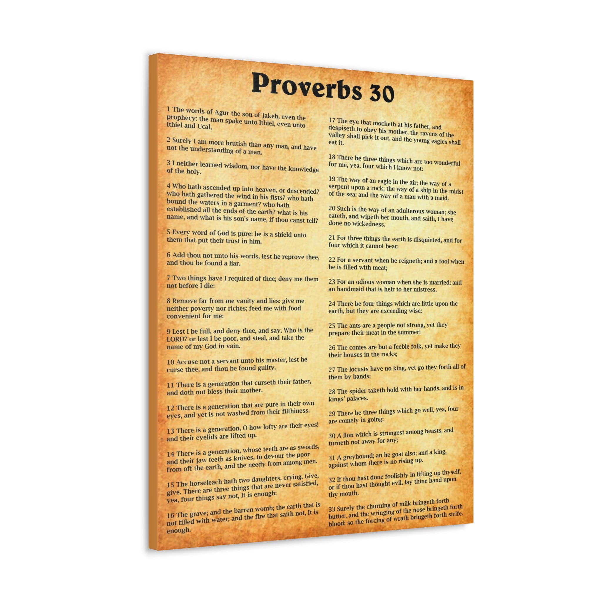 Scripture Walls Proverbs 30 Chapter Gold Bible Canvas Christian Wall ...