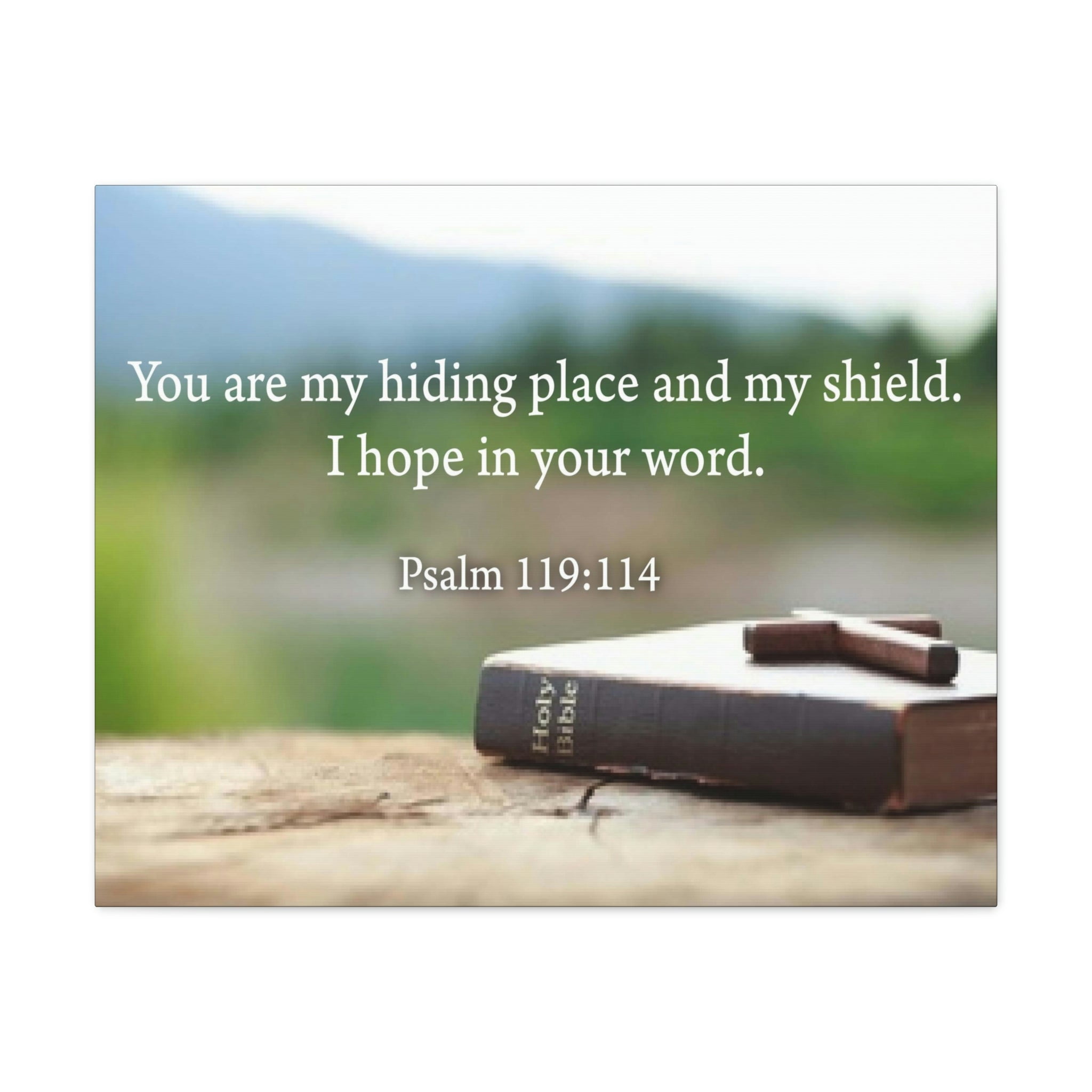 Scripture Walls Psalm 119:114 Hiding Place Bible Verse Canvas Christian ...