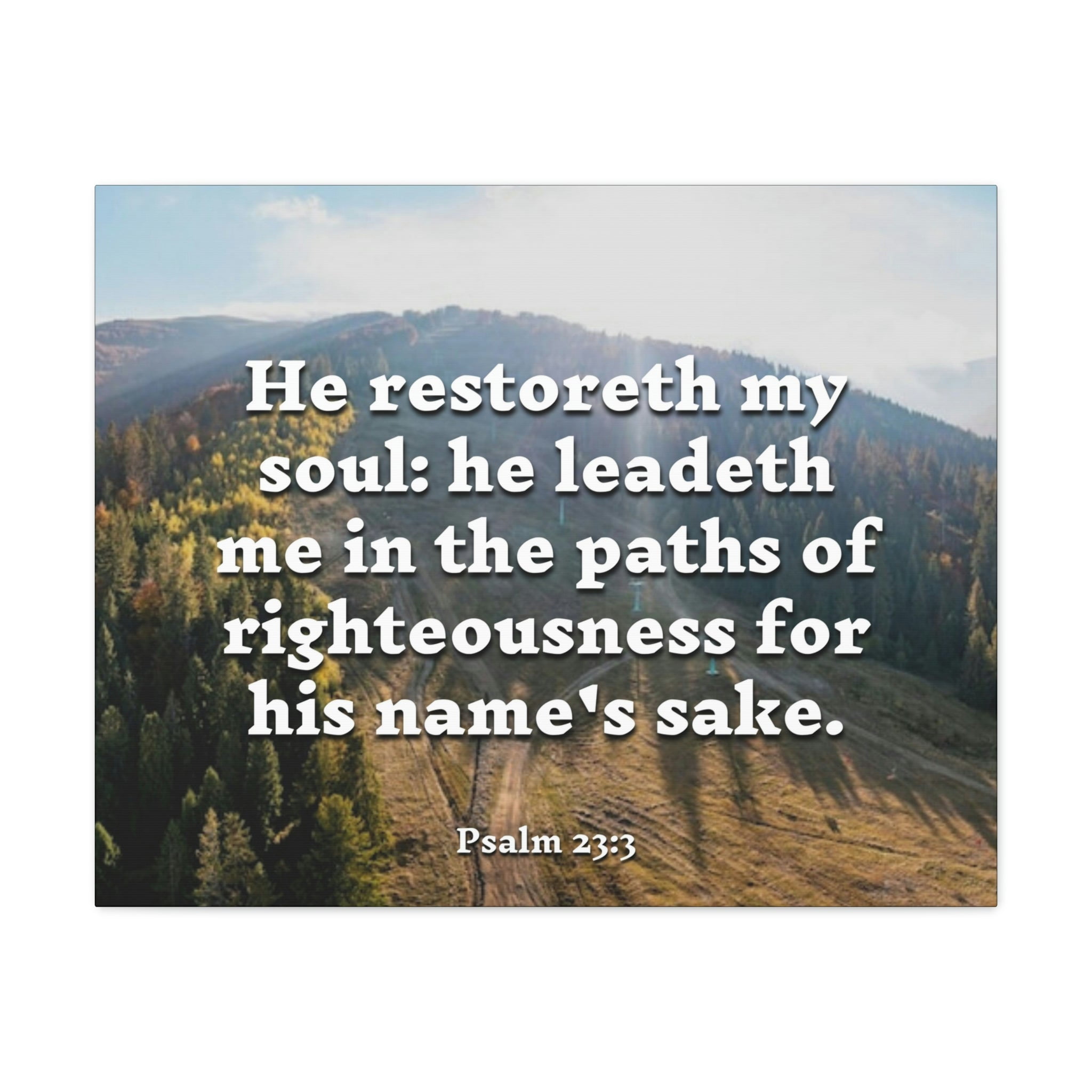 Scripture Walls Psalm 23:3 Paths Of Righteousness Christian Wall Art ...