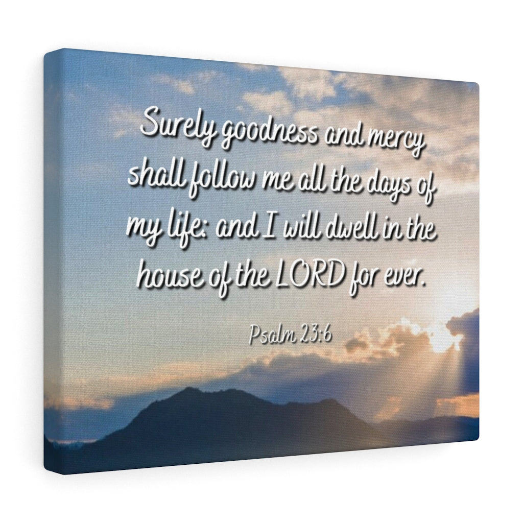 Scripture Walls Psalm 23:6 Goodness And Mercy Bible Verse Canvas ...