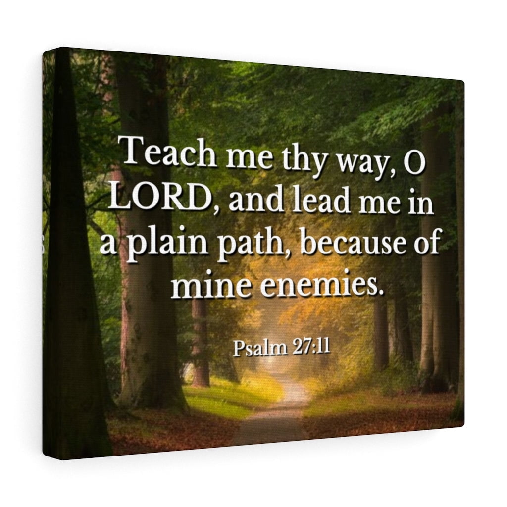 Scripture Walls Psalm 27:11 Plain Path Bible Verse Canvas Christian ...