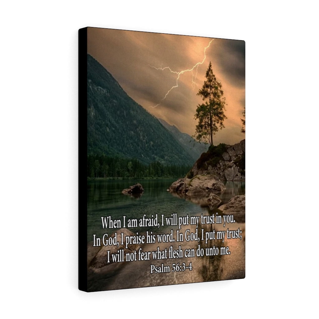 Scripture Walls Psalm 56:3-4 I Put My Trust in You Bible Verse Canvas ...