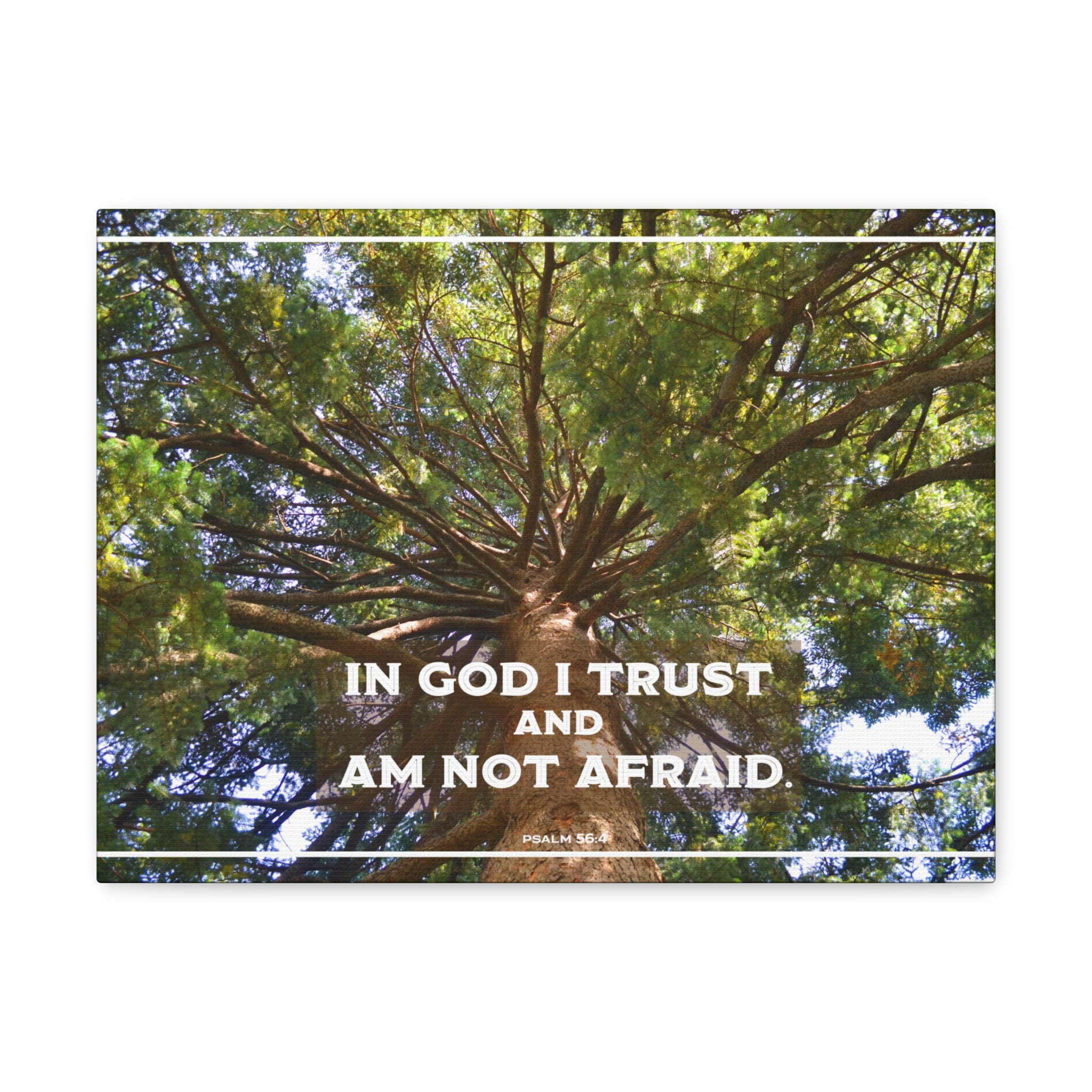 Scripture Walls Psalm 56:4 In God I Trust Bible Verse Canvas Christian ...