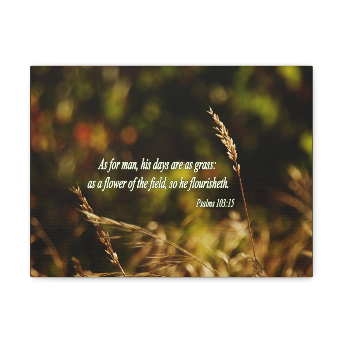 Scripture Walls Psalms 103:15 Flower Of The Field Bible Verse Canvas ...