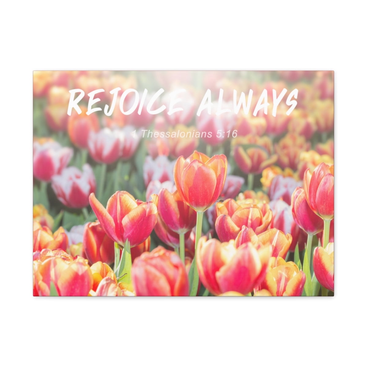 Scripture Walls Rejoice Always 1 Thessalonians 5:16 Bible Verse Canvas ...