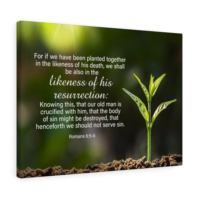 Scripture Walls Romans 6:5-6 His Resurrection Mind Bible Verse Canvas ...