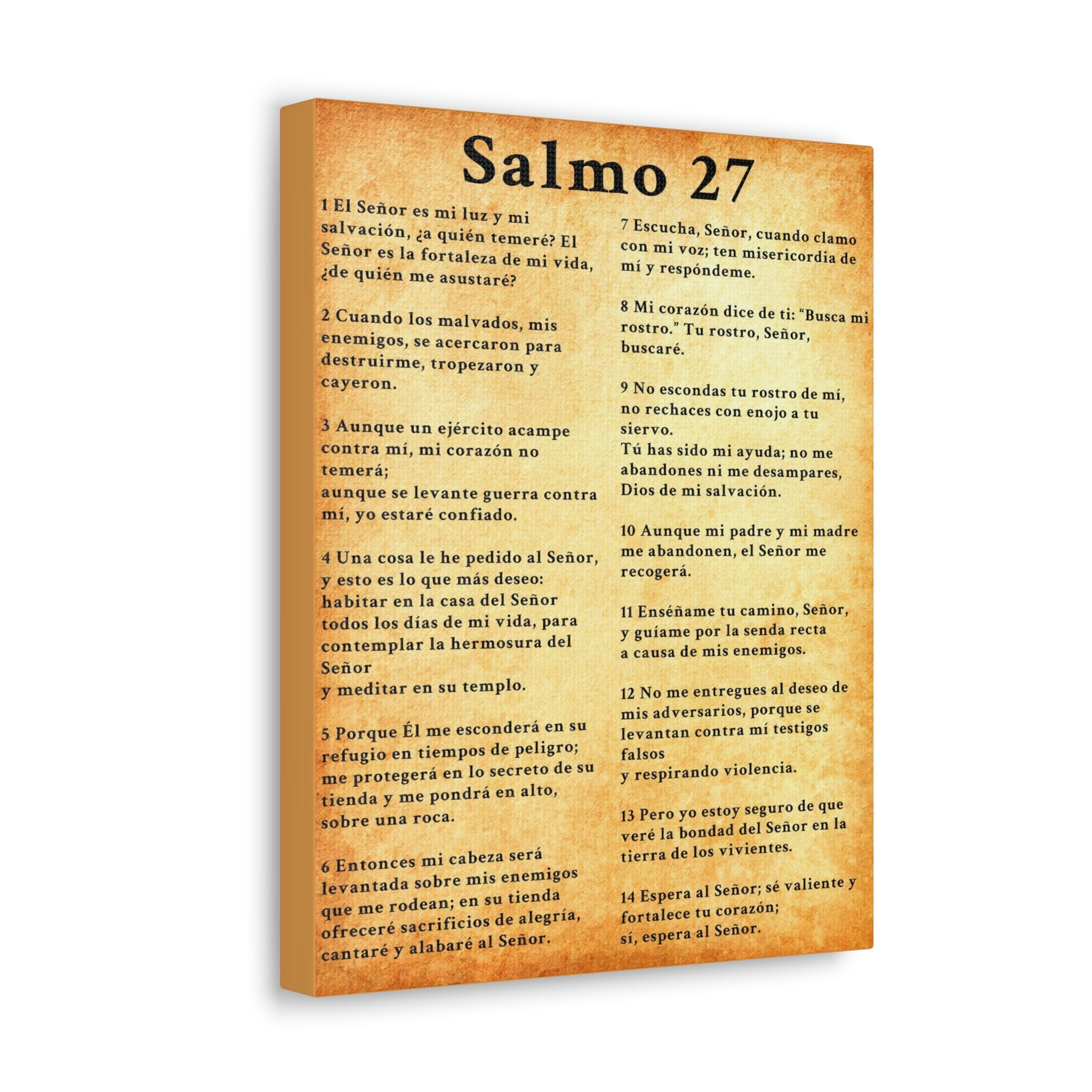 Scripture Walls Salmo 27 Chapter Gold Christian Wall Art Print Ready to Hang Unframed - Walmart.com