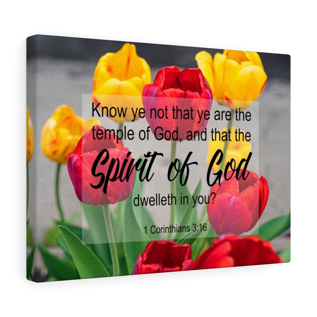 Scripture Walls Spirit of God 1 Corinthians 3:16 Christian Wall Art ...