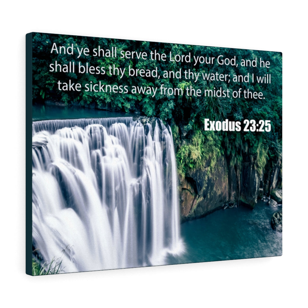 Scripture Walls The Lord is Merciful and Gracious Exodus 23:25 Bible ...