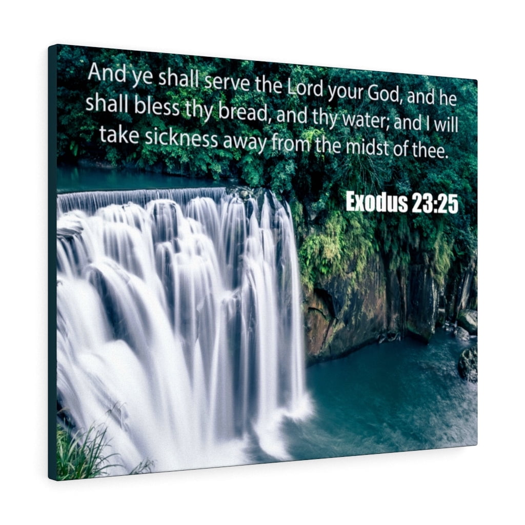 Scripture Walls The Lord is Merciful and Gracious Exodus 23:25 Bible ...