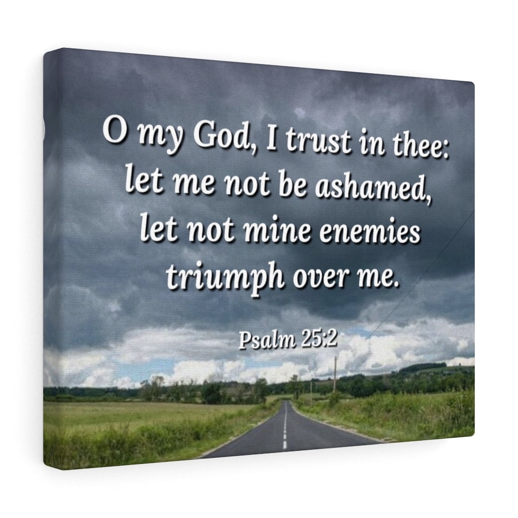 Scripture Walls Triumph Psalm 25:2 Bible Verse Canvas Christian Wall ...