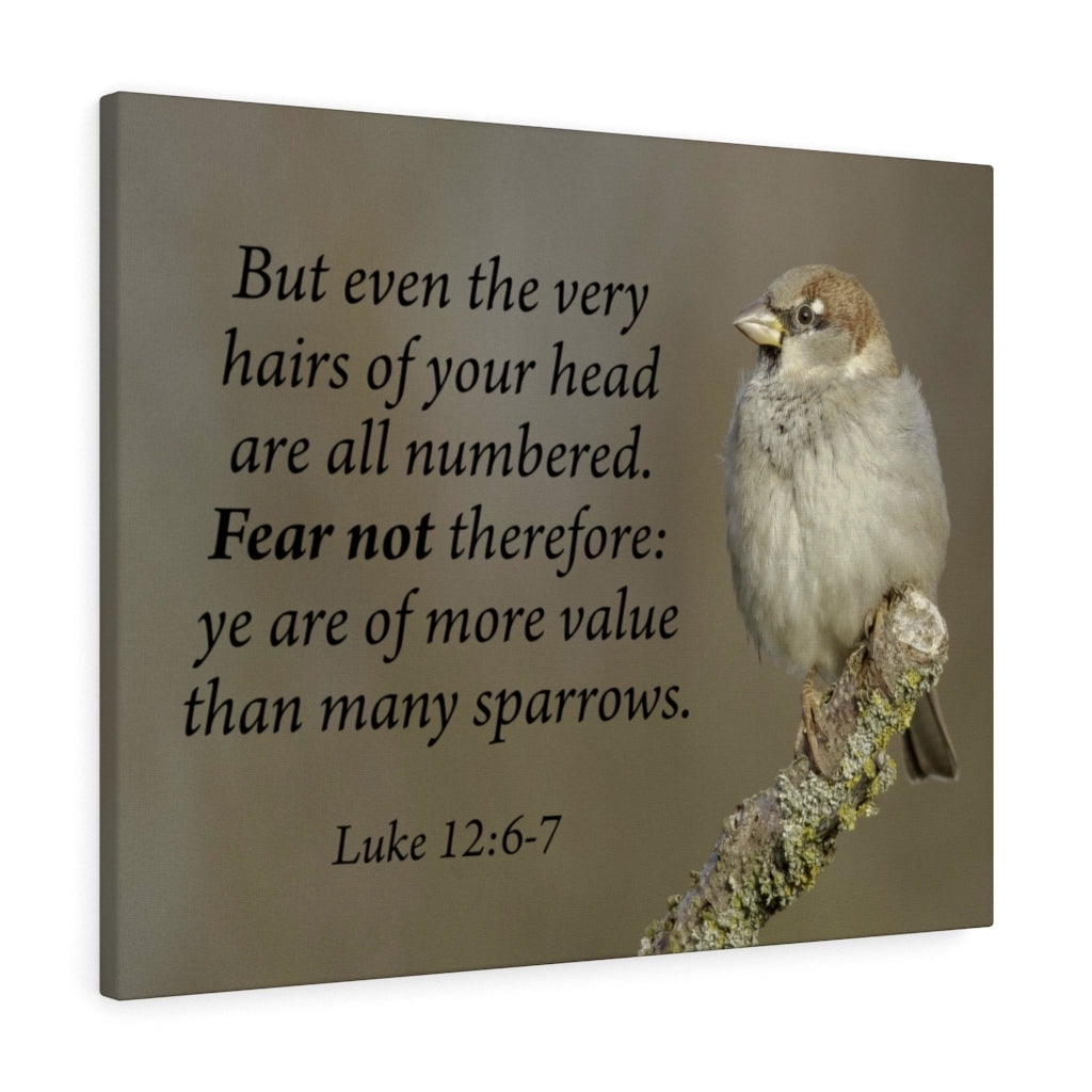 Scripture Walls Value Luke 12:6-7 Bible Verse Canvas Christian Wall Art ...