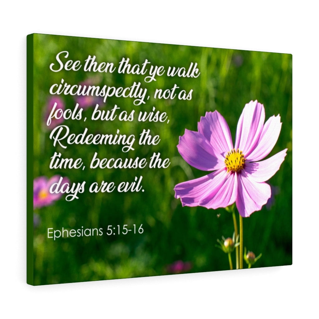 Scripture Walls Walk Circumspectly Ephesians 5:15-16 Bible Verse Canvas ...
