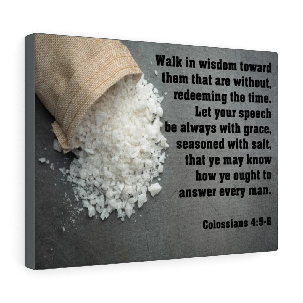 Scripture Walls Walk in Wisdom Colossians 4:5-6 Bible Verse Canvas ...