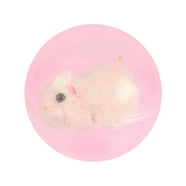 Zhu Zhu Pets Electronic Hamster Toy, Multiple Characters Available, for ...