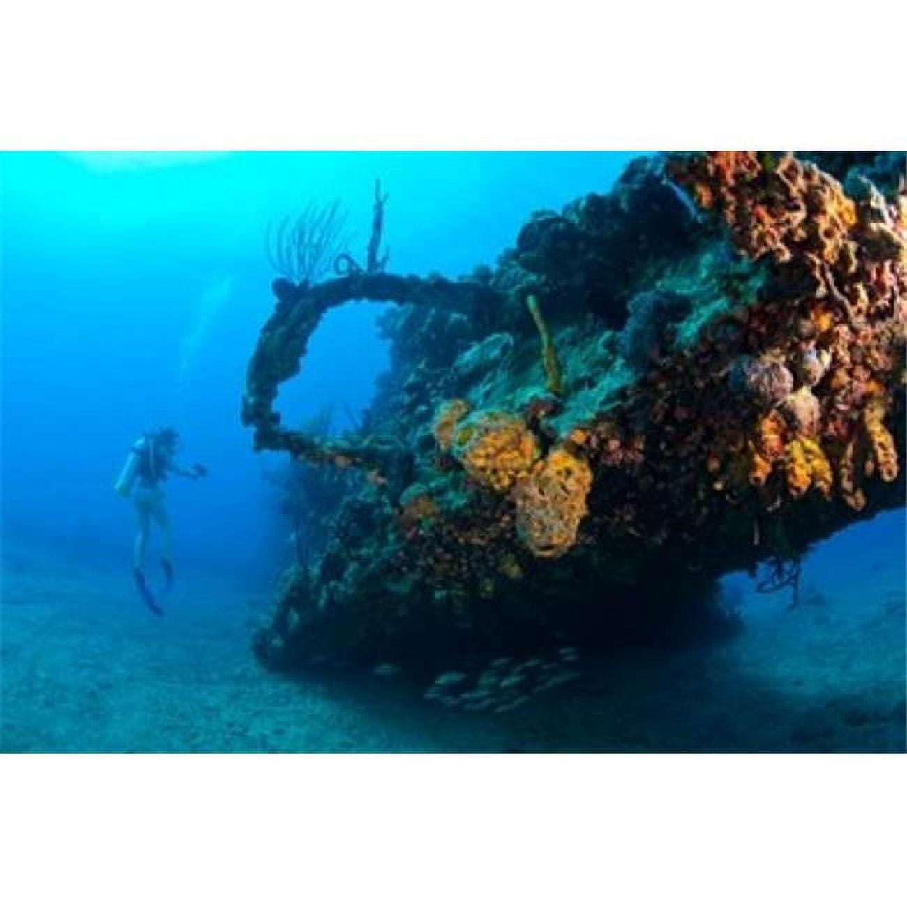 Scuba Diver Rms Rhone Wreck British Virgin Isl Poster Print by Stuart ...