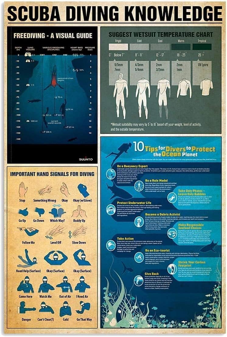 Scuba Diving Knowledge Metal Signs Retro Poster Scuba Diving ...