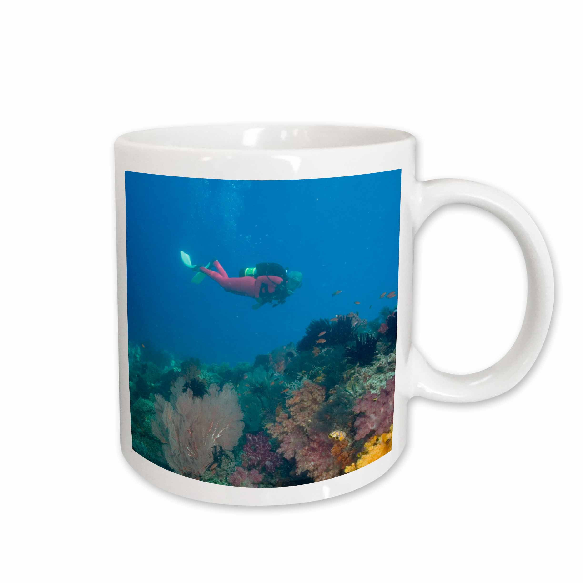3drose, Scuba Diving, Soft Corals, Raja Ampat, Papua - Li06 Sws0005 ...