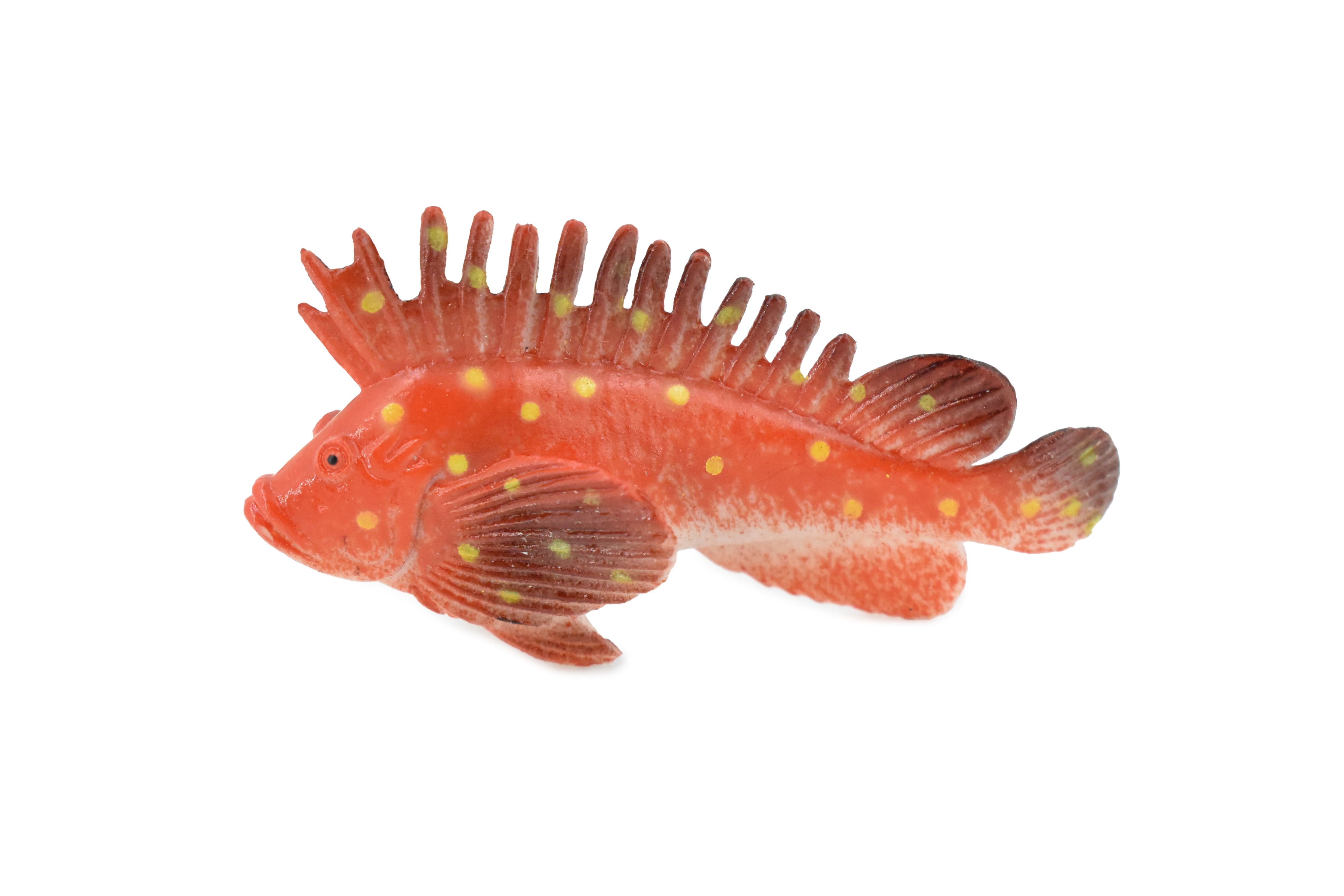 Sculpin, Red, Cottidae, Saltwater Fish, Rubber Fish, Hand Painted ...