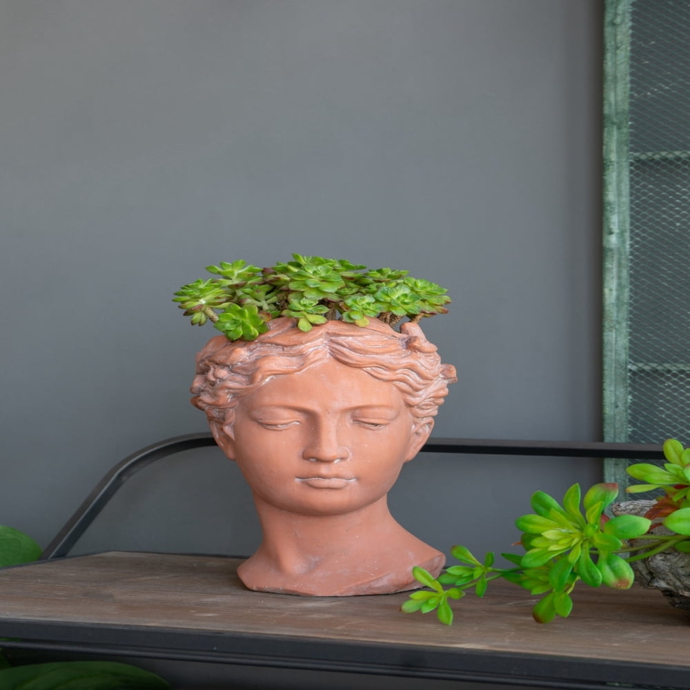 Sculptural Head Bust Planter Brown Pot 7x11 Display - Walmart.com