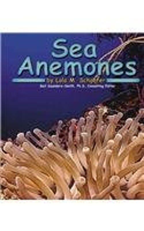 Pre-Owned Sea Anemones Pebble Books Library Binding Lola M. Schaefer ...